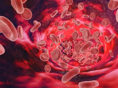 Haemophilia X Linked Recessive Disorders Series 2 Hashika S K
