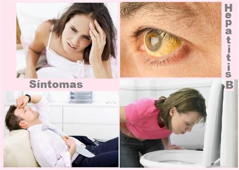 La Hepatitis B Tratamiento