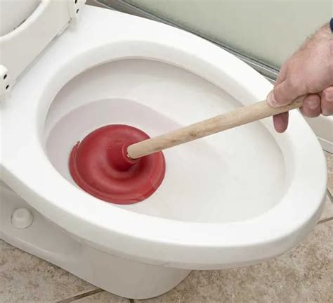 Как прочистить унитаз: как устранить засор, если забился унитаз, что ...