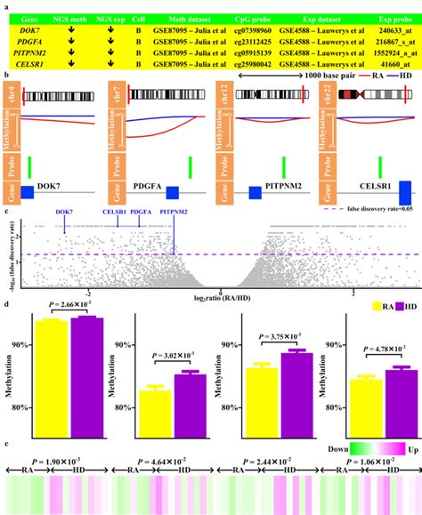 Validation Of Genes With Differential Methylation In Gene Body And Download Scientific Diagram