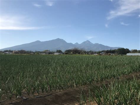 株式会社ファーマン 井上農場 山梨県北杜市公式サイト