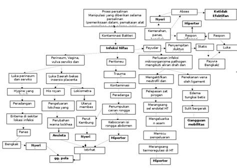 Pathway Infeksi Nifas Pdf