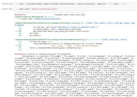 Using Pretrained Models Weights Utc2 Eu East Fastai Course Forums