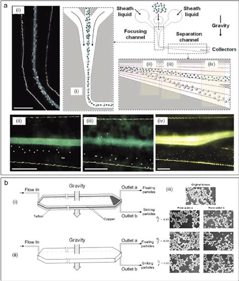 Separation Of Particles Involving Natural Gravity A Particle