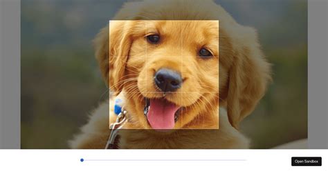 React Easy Crop Example With Local Storage Sync Codesandbox
