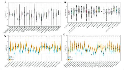 The Expression Of Transporter Associated With Antigen Processing 1