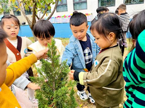 泽国镇幼儿园开展迎霜降节气活动