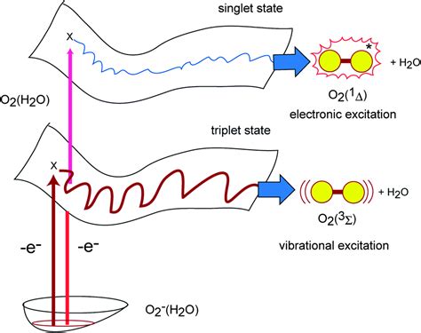 Electron Detachment Dynamics Of O 2 − H 2 O Direct Ab Initio