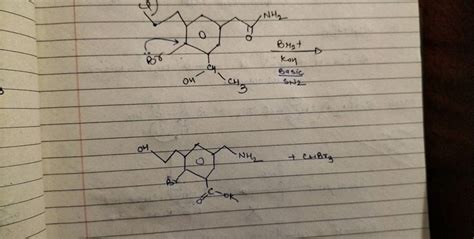 Ccccc C C C O Oc O C1cc Cn Cc Cco C1br Filo