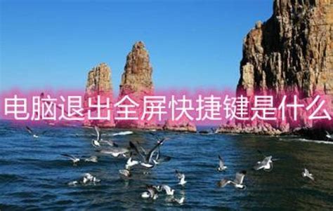 电脑退出全屏快捷键是什么电脑退出全屏快捷键的用法 科技师
