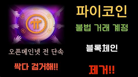 파이 오픈메인넷전 단속 사기계정 블록체인 삭제진행 파이코인파이네트워크오픈메인넷 Youtube