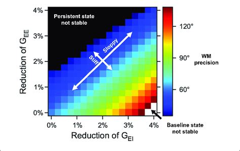 Working Memory Wm Precision As A Function Of Excitationinhibition