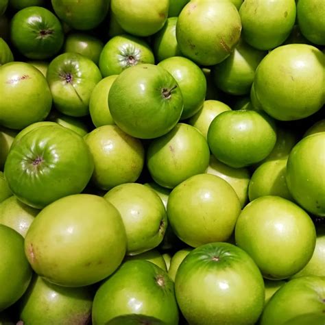 Táo Xanh Phan Rang Và Những điều Bạn Có Thể Chưa Biết