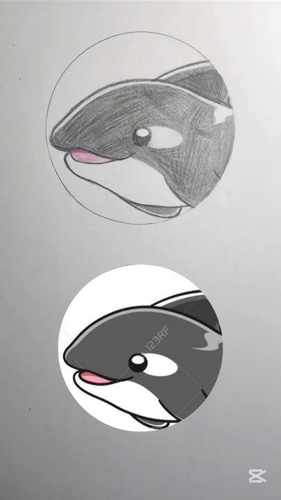 쿠키앤크림525님 당첨 축하드립니다 범고래 프사그리기 Drawing 추천추천추천추천추천추천추천추천추천추천 미술선생님 Youtube