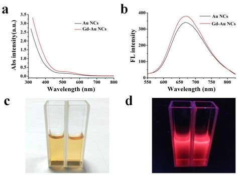 Nanomaterials Special Issue Nanoparticles In Bioimaging