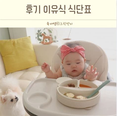 후기이유식 스케줄 식단표 9개월 10개월 11개월 아기 이유식양 네이버 블로그