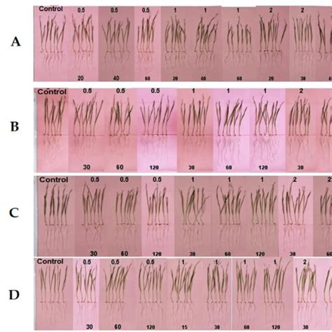 Absorption Spectrum And Structural Formula Of Tlp Download Scientific Diagram