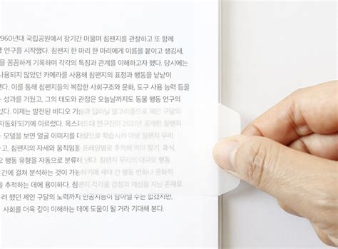 MochiThings Small Index Tracing Sticky Note MochiThings Small Index Tracing Sticky Note