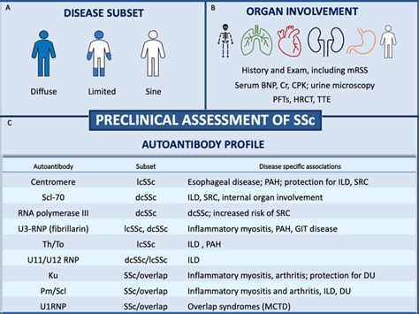 Approach To Pre Treatment Evaluation In Patients With Ssc A Disease Download Scientific