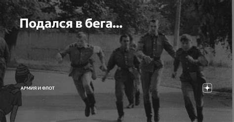 Подался в бега Армия и Флот Дзен