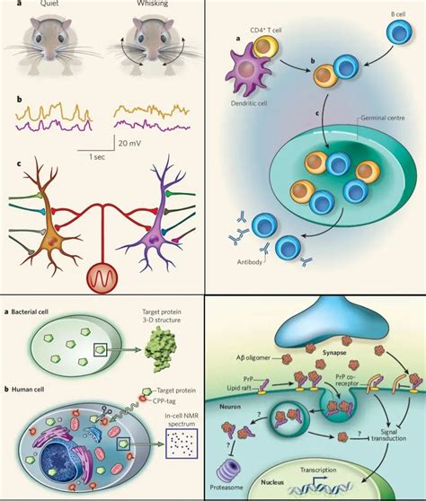 4000张绝美natureandscience插图配色高级，构图完美 哔哩哔哩