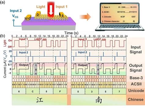 江南大学《advanced Science》：基于wse2 H Bn Graphene异质结的二维可编程光电探测器 知乎