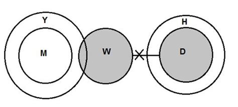 Reasoning Questions Syllogism Set