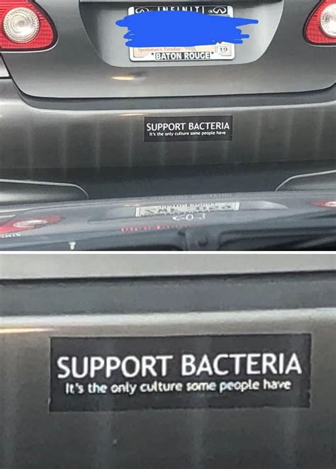 30 Times People Spotted Hilarious Bumper Stickers Ever