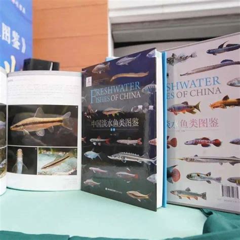 首次！我国最为系统的鱼类活体图鉴《中国淡水鱼类图鉴》新书首发 上海科技馆 自然科学 分类学