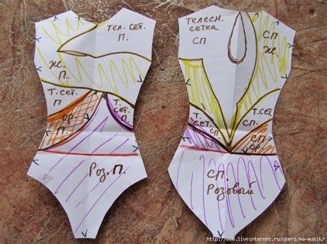 Купальник гимнастика своими руками