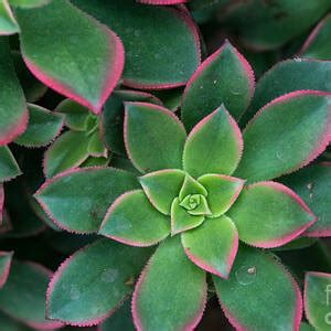 Cargo Shipping Containers Stacked Photograph By Sascha Burkard Fine Art America