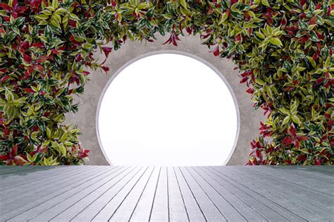 Abstact 3d 렌더링 자연 연단 배경 화려한 잎의 벽에는 제품 전시 광고 창조 및 디자인을 위한 나무 바닥의 구멍을 통해 중간에 구멍과 빛이 있습니다 0명에 대한 스톡