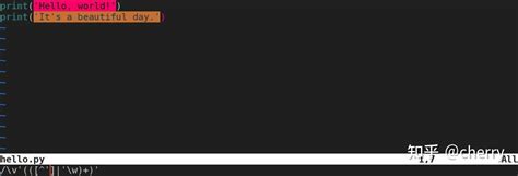 《practical Vim》 11 模式匹配、查找、替换（03） 知乎