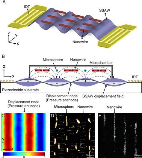 A Schematic Of 1d Nanowire Patterning Two Parallel Idts Generate Download Scientific Diagram