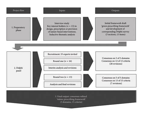 Flowchart Overview Of Project Phases And Delphi Process Download