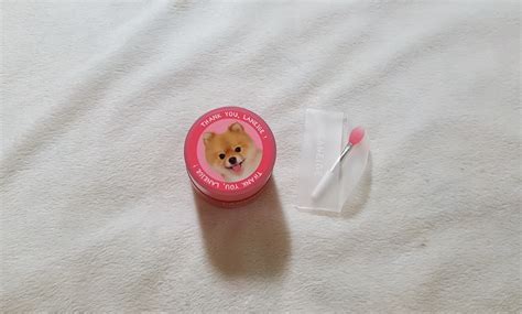 라네즈 립 슬리핑 마스크 베리 뷰덕짤랑 님의 광고 없는 내돈내산 찐리뷰