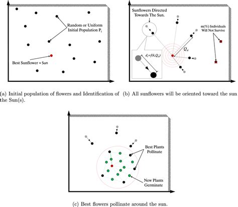 some concepts about the sunflower optimization methodology [21