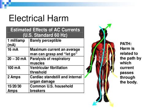 Electrical Body
