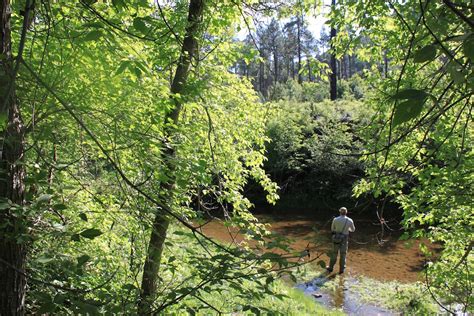 Arizona Fly Fishing Exploration Arizona Wanderingsarizona Wanderings
