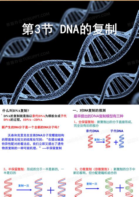 高中生物dna的复制PPT模板下载 编号qzbjeegd 熊猫办公