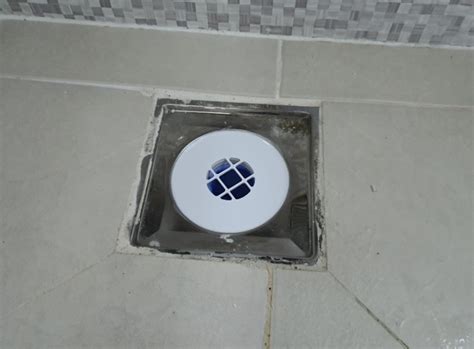 화장실 나방파리 욕실 배수구 냄새 차단 원인 네이버 블로그