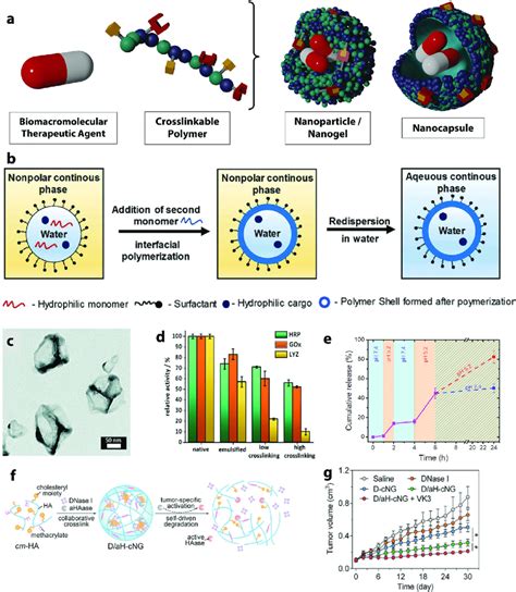 A Schematic Representation Of Nanoparticlesnanogels And