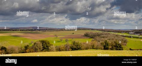 Views Towards Goodwood Estate Racecourse Taken From The Trundle St
