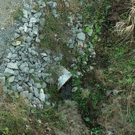 Lulcclass Classification Dataset By Dot2023