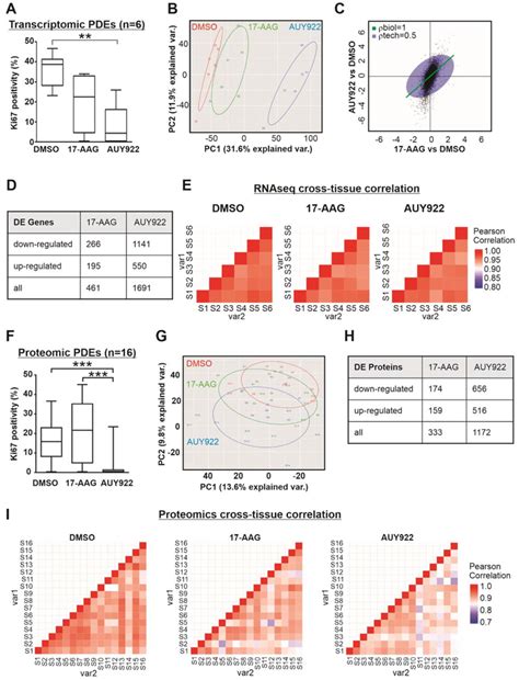 Transcriptomic And Proteomic Analysis Of Patient Derived Explants A