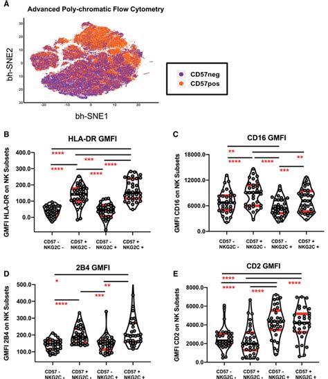 Advanced Polychromatic Flow Cytometry Data Investigating The Expression