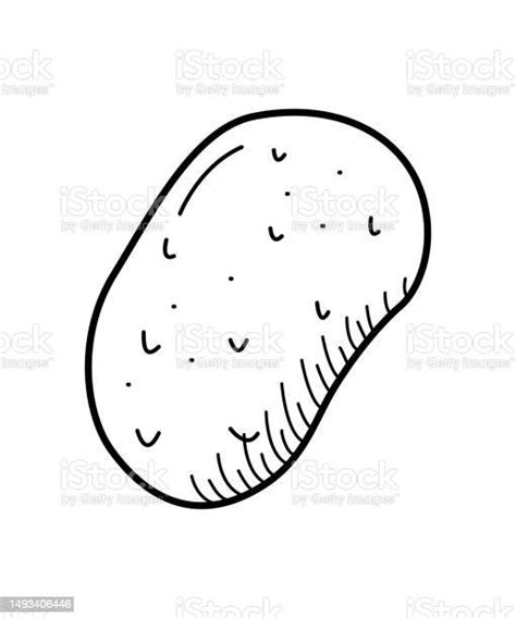 감자 괴경 아이콘 낙서 스케치 흰색 배경에 채소 뿌리 작물의 벡터 그림입니다 감자 요리에 대한 스톡 벡터 아트 및 기타 이미지