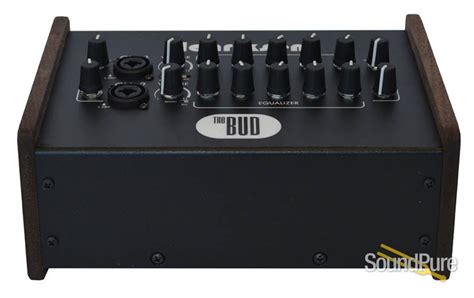 Henriksen The Bud Head Amplifier