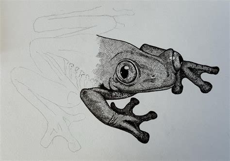 ORIGINAL Tree Frog Sketch Portrait Ink Pen Farmhouse Amphibian Art Dart Frog Wall Decor OOAK