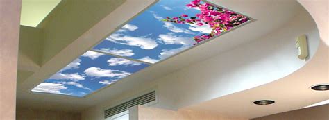 Ceiling Light Diffuser Covers Ceiling Light Ideas